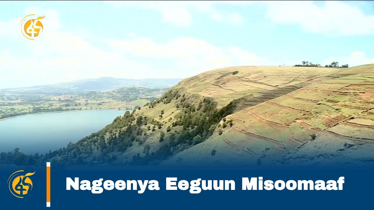 Nageenya Eeguun Misoomaaf - YouTube