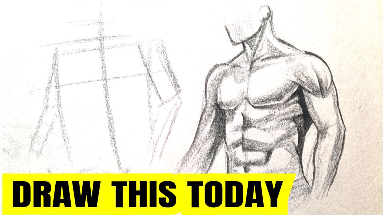 Sketch The Human Torso Easily - No Anatomy Knowledge Needed | Drawing ...