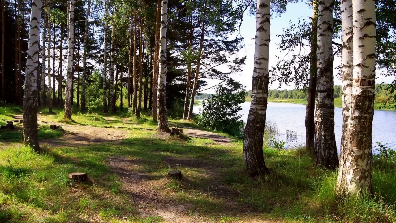 Padma Previ – Om Shrim Swaha - YouTube