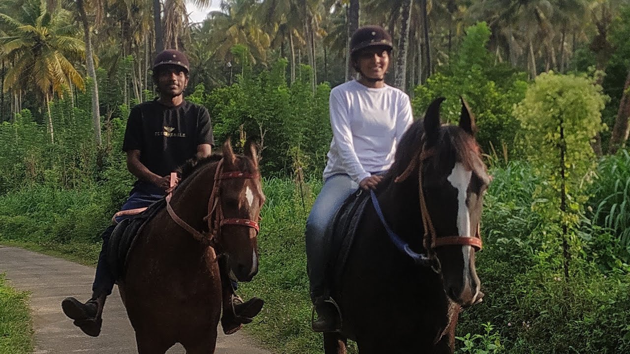 horse riding video🏇🏇👌👌##video - YouTube