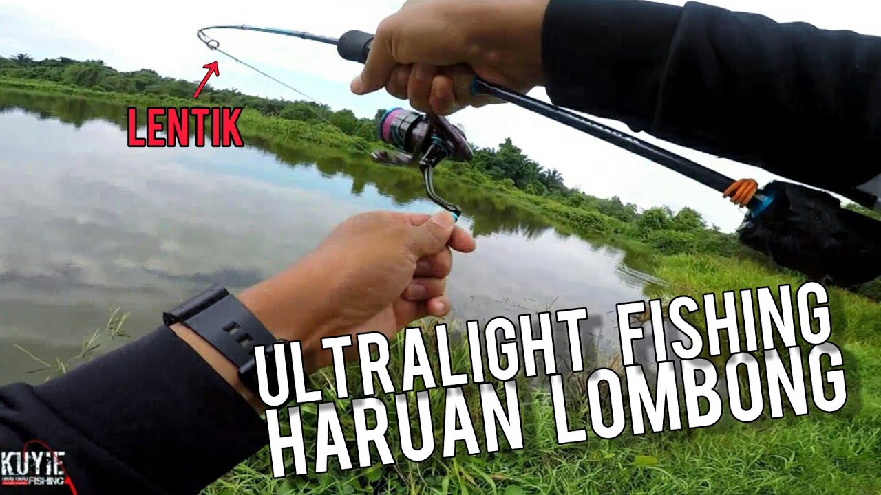 Casting Haruan | Strike Haruan Lombong | Ultra Light Fishing | Devil Craft Cetus Attack ...