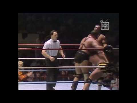 Who Were The Killer Bees In Wrestling