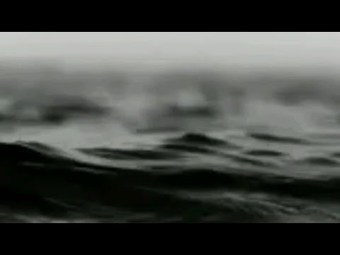 Status üçün 🥀🕊️MƏNALI VİDEO 🕋🥀🕊️