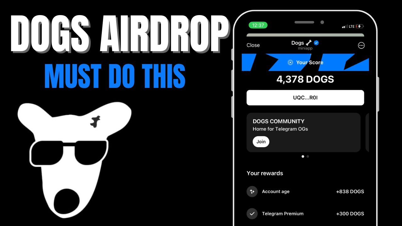 New features on $Dogs airdrop ~ Get it right now or lose it. - YouTube
