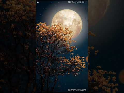 Tevfik Sözmen - Gel Gör Halimi