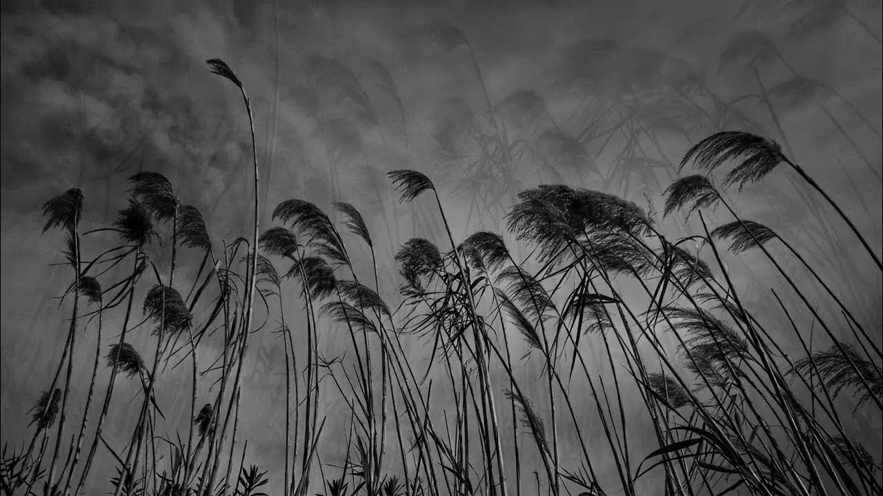 “Mishehu” felt Grotrian piano (Mati Caspi cvr) - YouTube