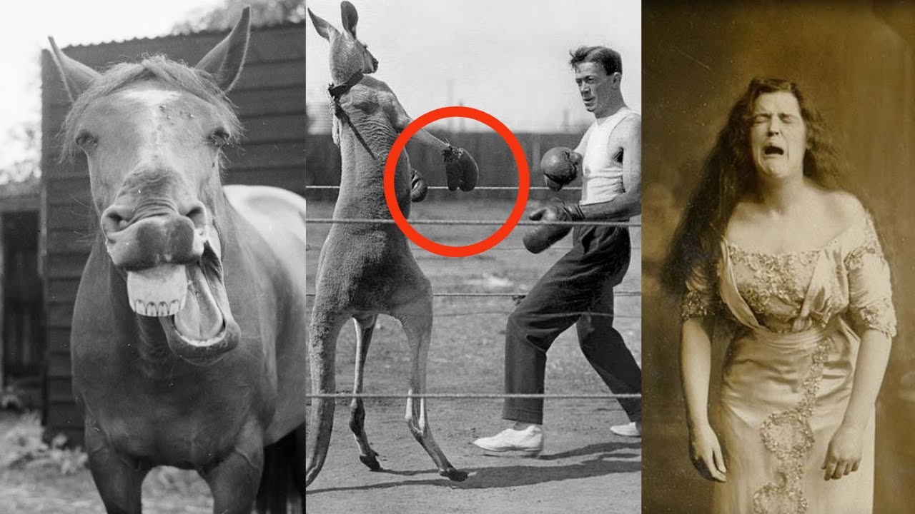 32 Historical Photos That will Make You Laugh - YouTube