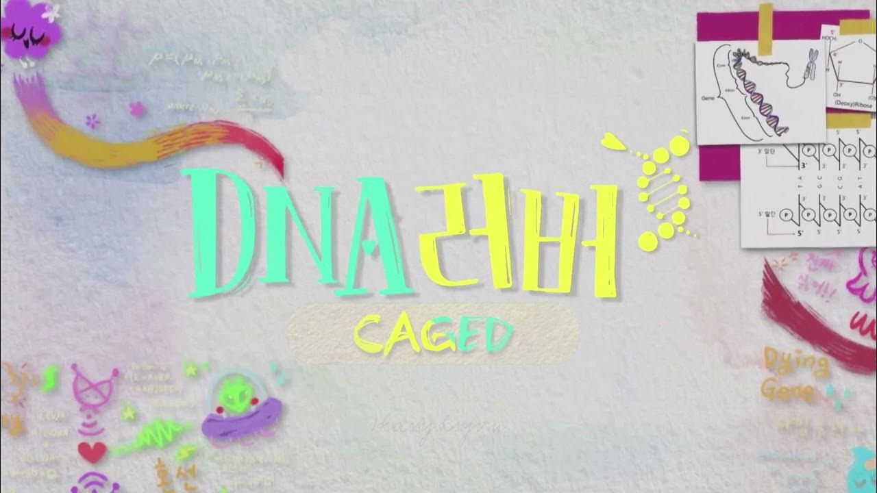 [Vietsub] Kassy 케이시- Caged | DNA Lover OST pt.6 - YouTube