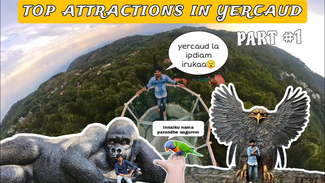 YERCAUD | SKY PARK | GLASS BRIDGE | Yercaud tourist place | ஏற்காடு ...
