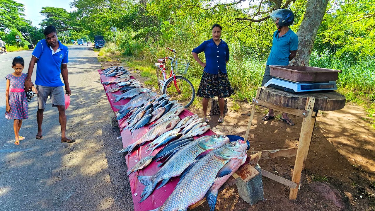 Amazing!! Rustic Natural Road Village Fish Market And Master Exiting ...