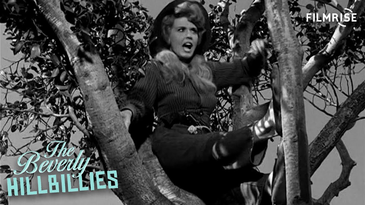 The Beverly Hillbillies - Season 1, Episode 12 - The Great Feud - Full ...