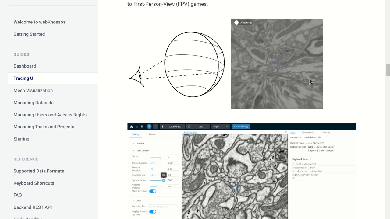 webKnossos: Usage Documentation - YouTube