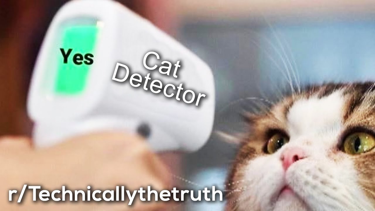 r/Technicallythetruth | cat detected.. - YouTube
