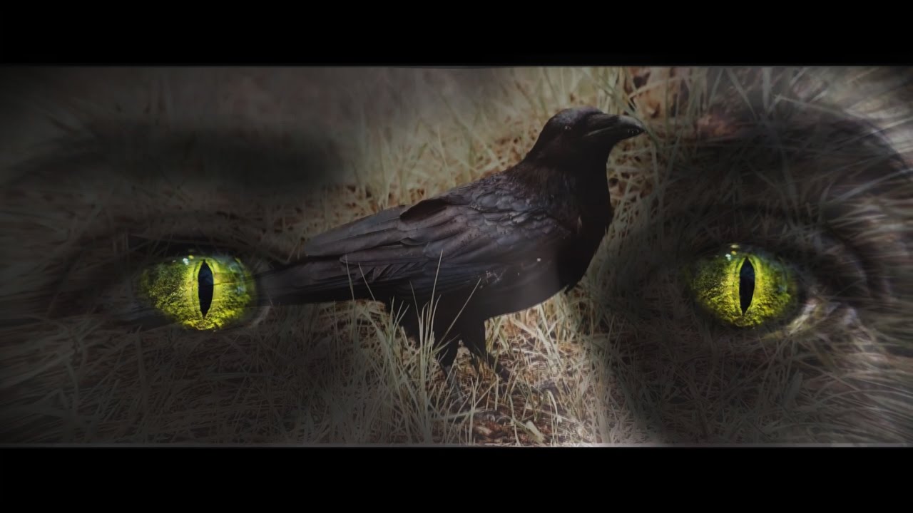 Athmossmusic - Constant change (Official music video) - YouTube