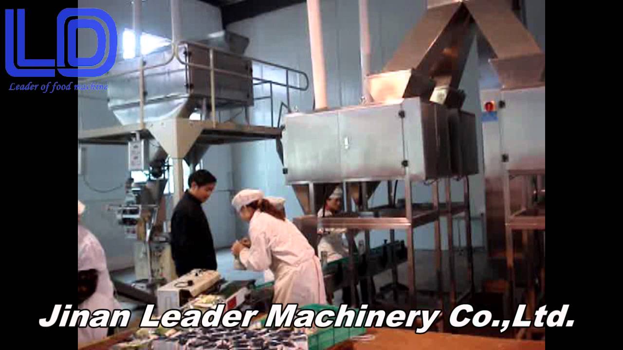Jinan Leader snack Food Machinery - YouTube