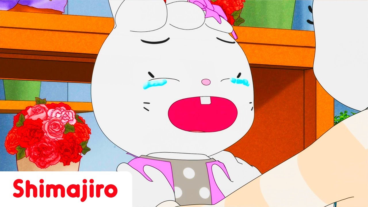 🌸🎁 Mimi-Lynne’s Gift 🌼💞 | Full Episode #314 | Shimajiro 🐯 - YouTube