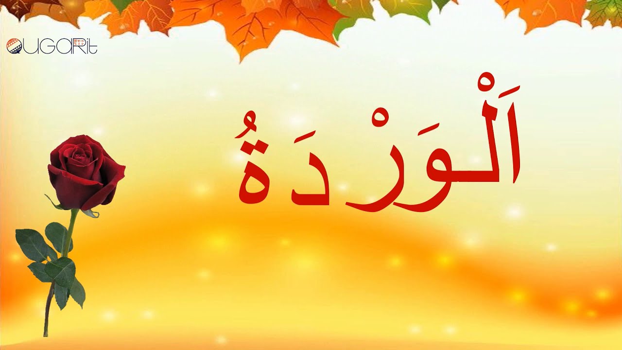 الْحَركاتِ القَصيرَة والسُّكون Lecture des mots avec les voyelles ...