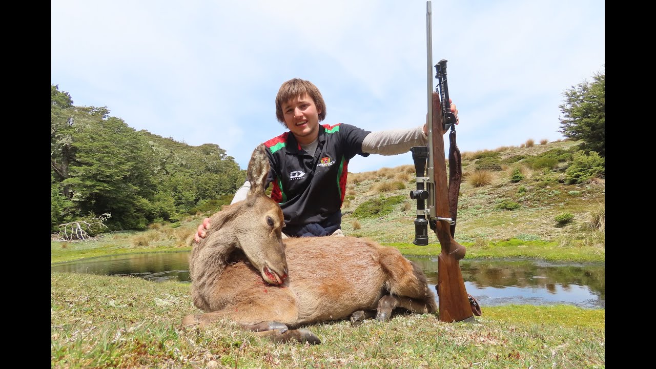 Summer Hunting - YouTube