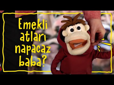 BABA VE OĞLUŞU | AT YARIŞI