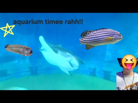 AQUARIUM TIMEE!! #hehim 