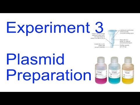 Plasmid Preparation - YouTube