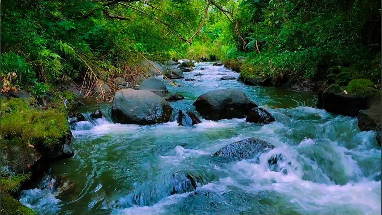 Gentle Mountain River Flow Sounds for Relieve Stress, Emotional Balance ...