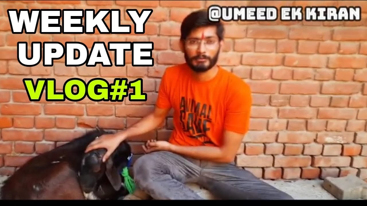 Weekly Update Vlog#1 from Umeed ek Kiran Animal shelter - YouTube