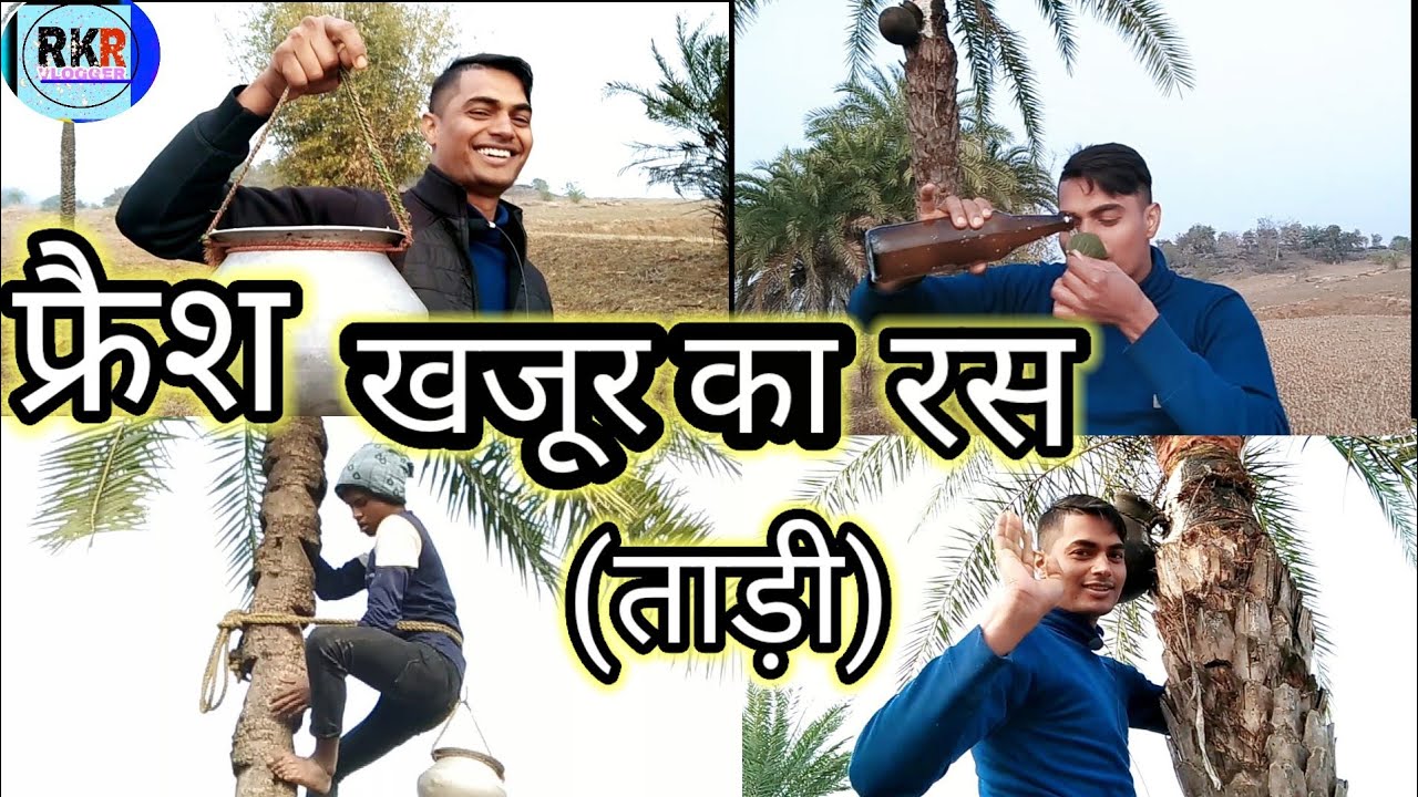 !! NATURAL PALM JUICE!## FRESH KHAJUR KA TADI# - YouTube