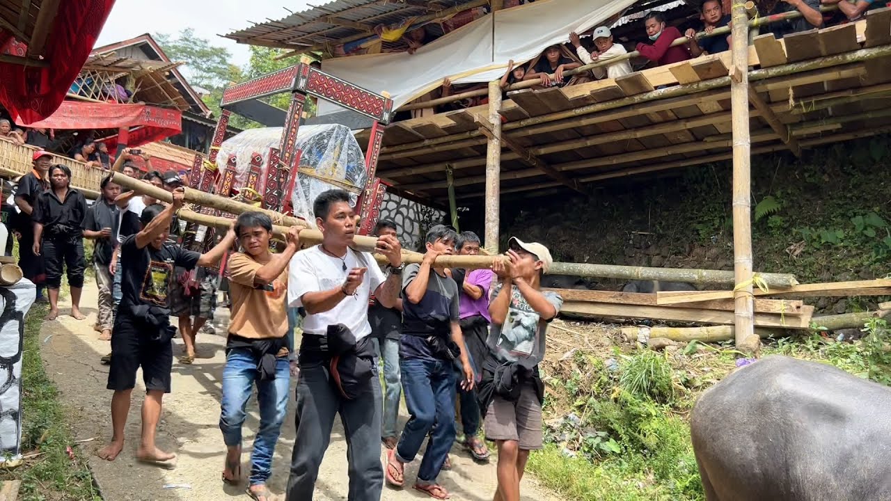 Pemakaman Almh Ludia Tiku di Tongkonan Bela’ To’Sipate Sarambu Sikore ...