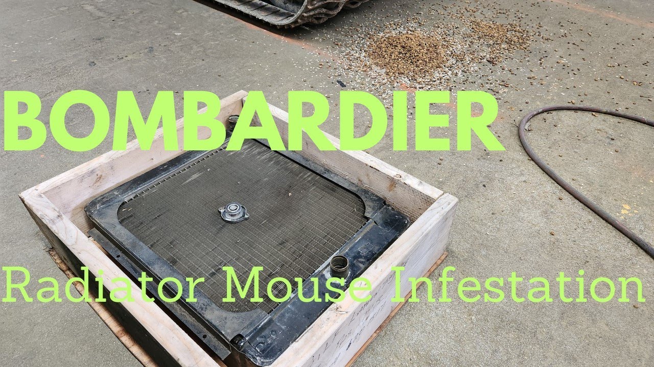 CHECK YOUR RADIATOR FOR MICE INFESTATION | BOMBARDIER - YouTube