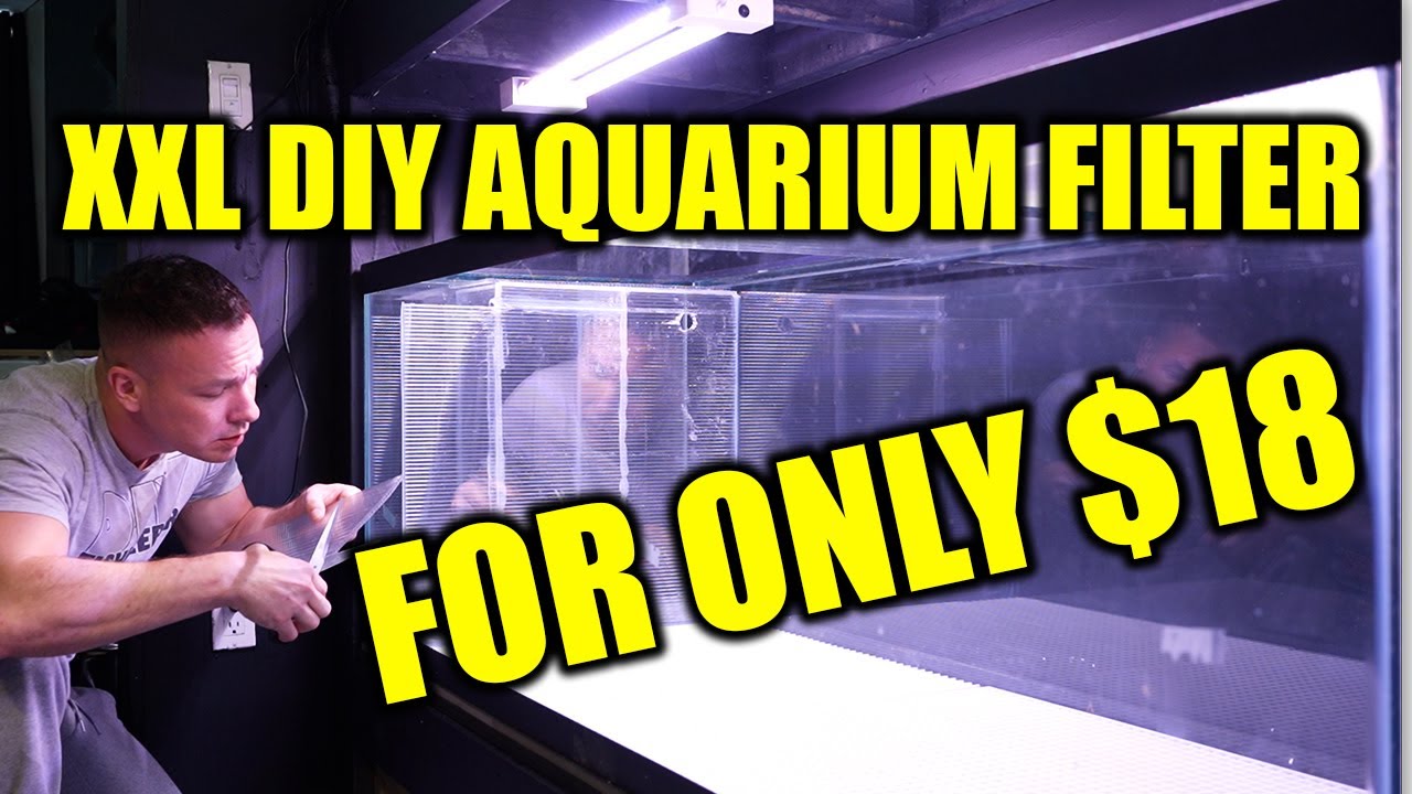 EASY!! DIY aquarium filter for ANY SIZE fish tank - YouTube