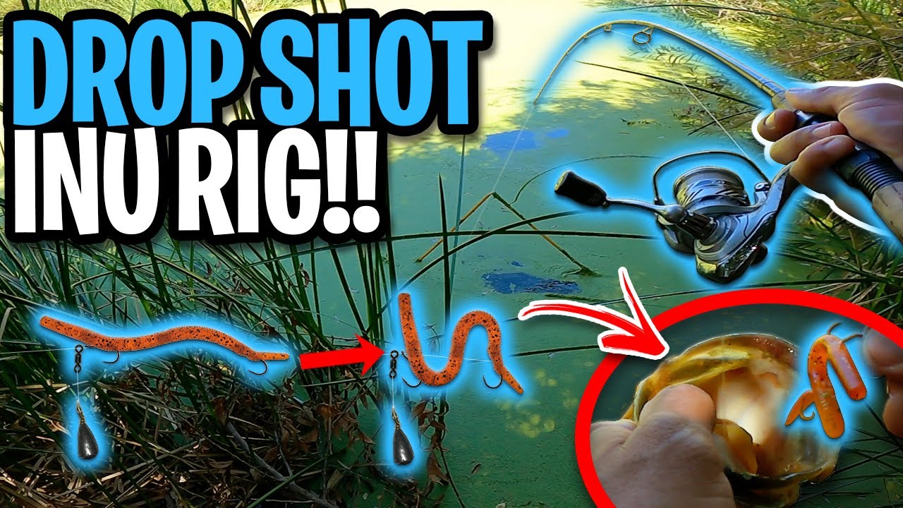 How To Set Up The INU RIG Drop Shot | New Japanese Fishing Technique ...