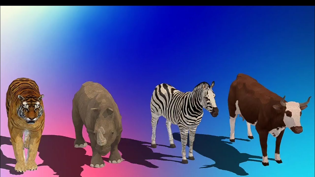 animal crosing|zebra,cow,tiger.loin|Colour Animal|animal kids video ...