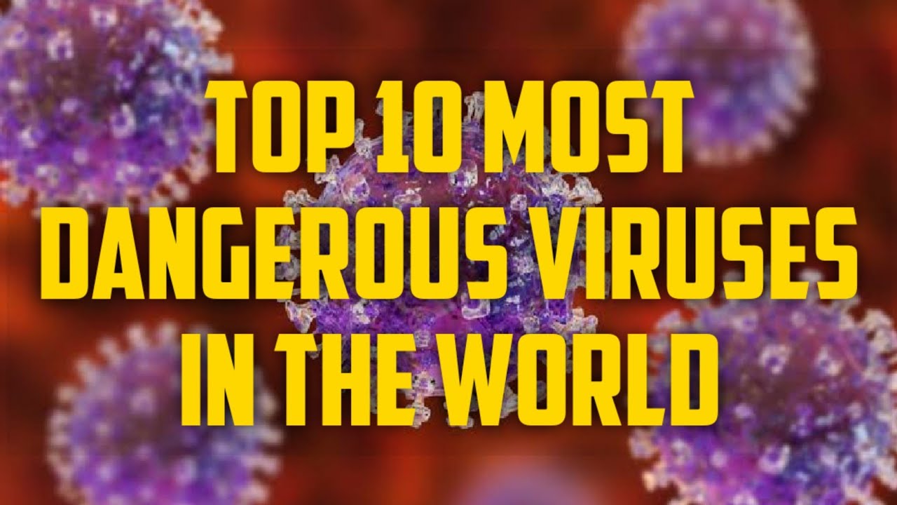 TOP 10 MOST DANGEROUS VIRUSES IN THE WORLD | TOP NEWS | #06 - YouTube