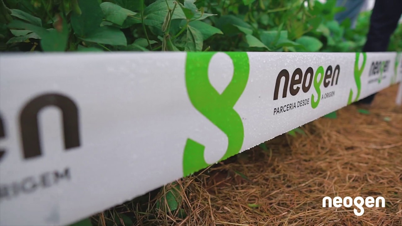 Neogen é parceria desde a origem - YouTube