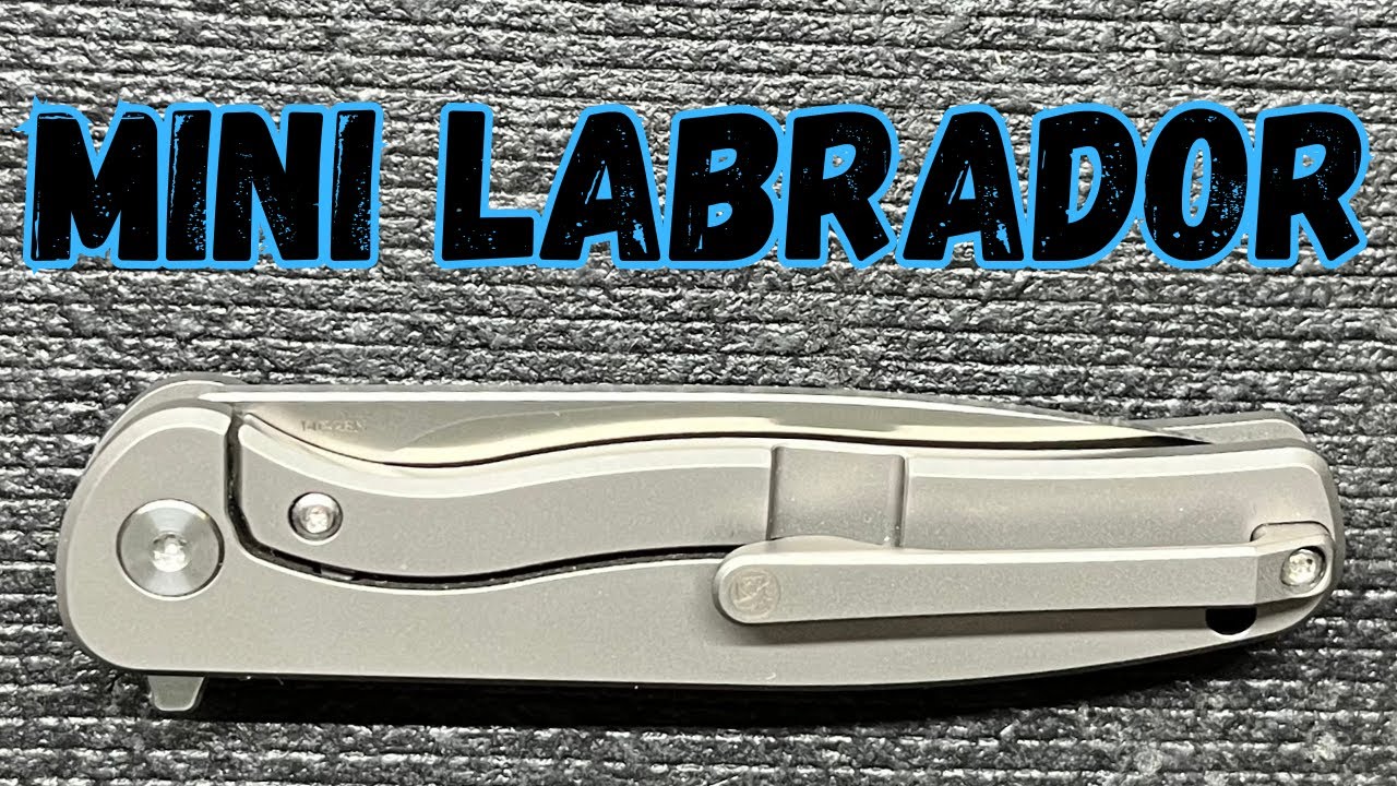 The Titanium Mini Labrador From Vosteed Is Perfect For Your Fifth ...