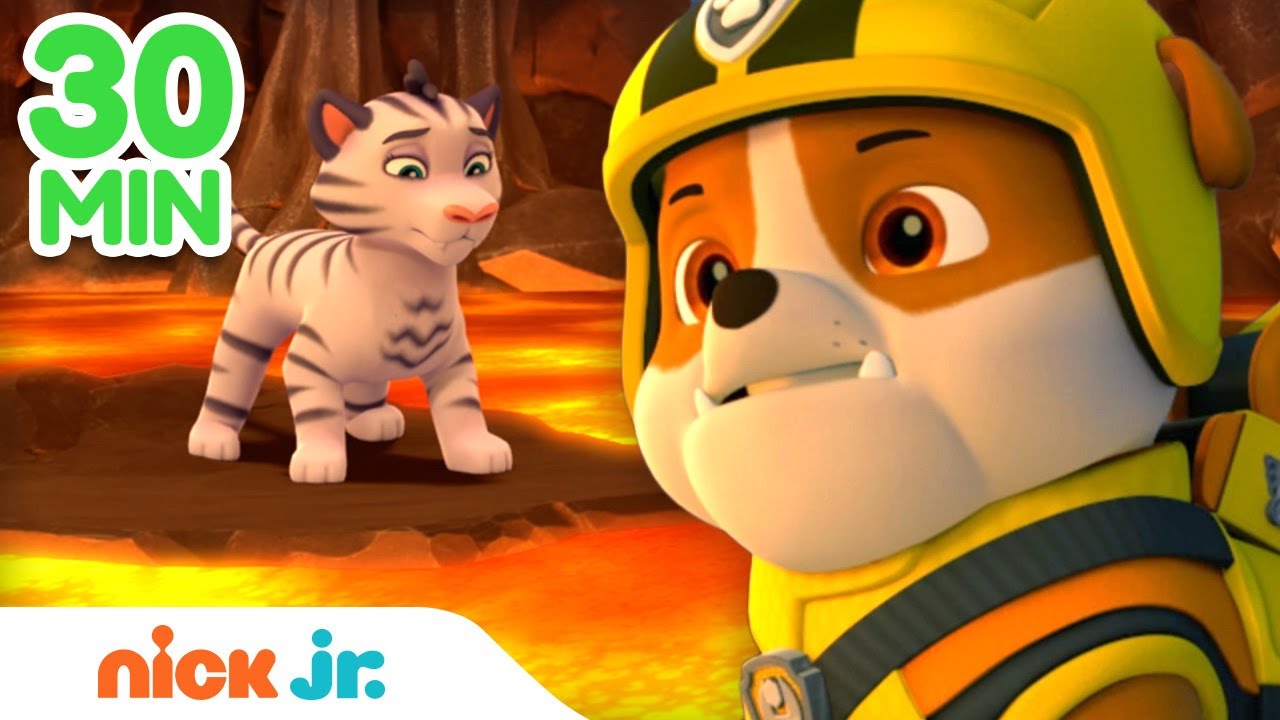 Rubble Rescues Baby Animals! 🐯 w/ PAW Patrol Chase & Zuma | 30 Minute ...