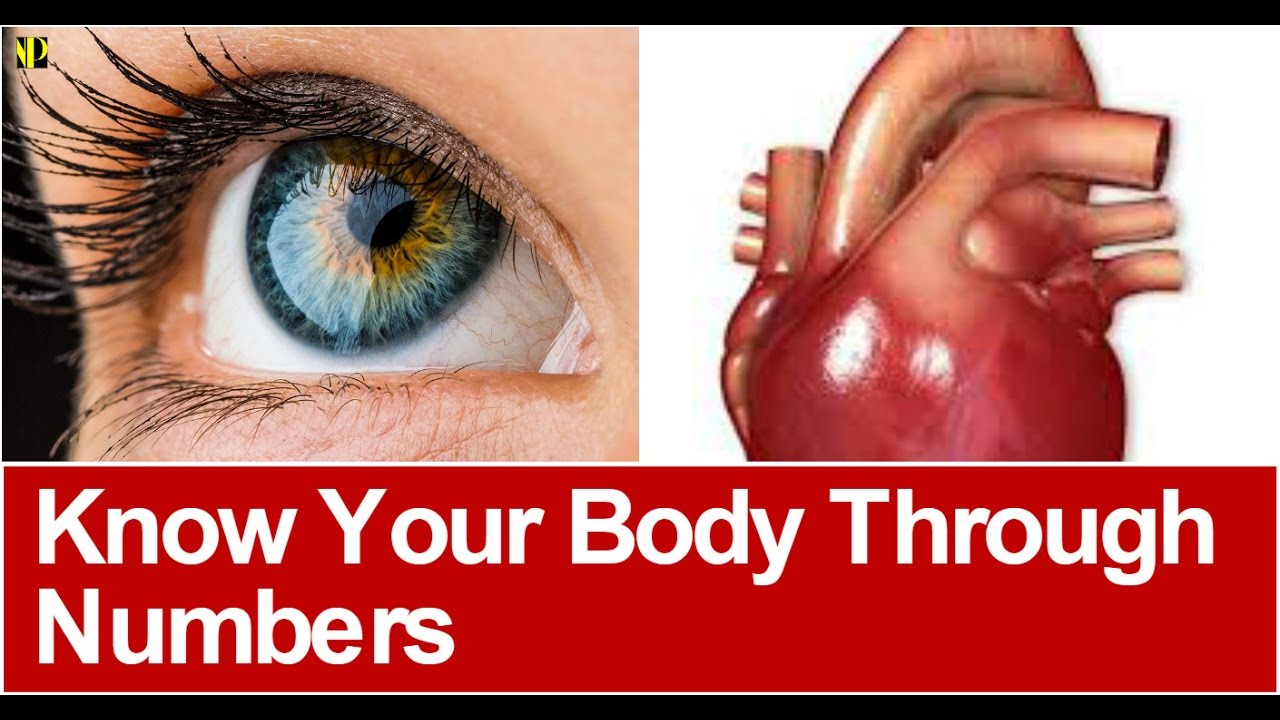 Know Your Body Through Numbers - YouTube