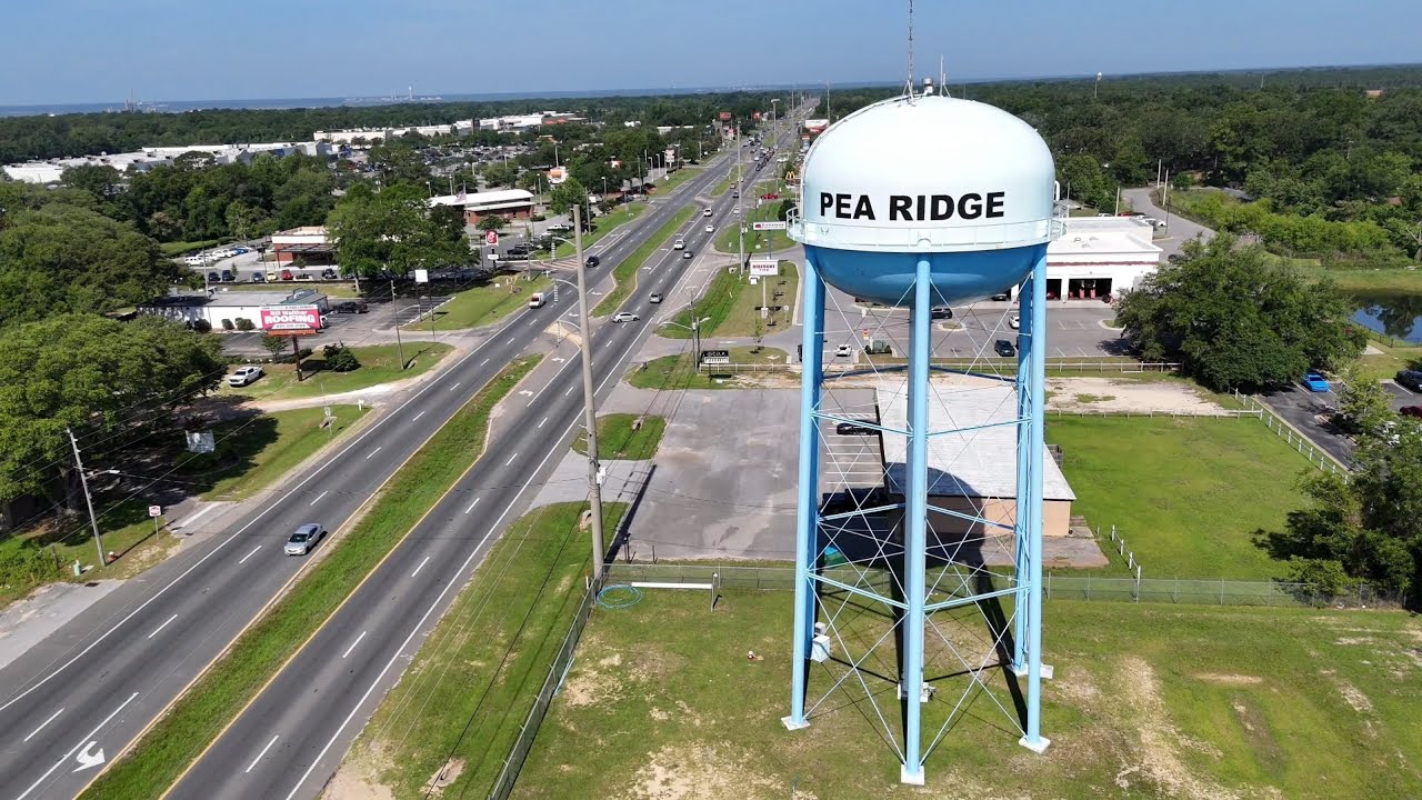 🌴Pea ridge florida #pearidgeflorida#pea#ridge#florida - YouTube