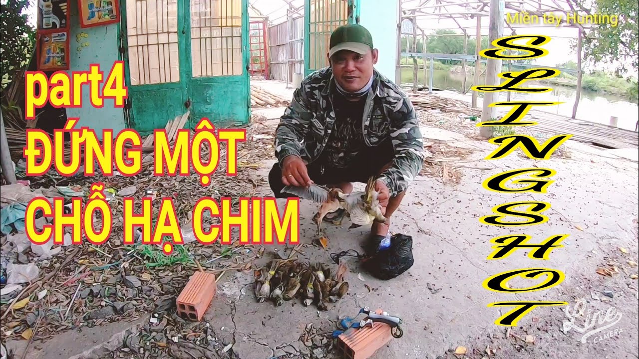 bắn chim bằng ná part4 đứng một chỗ bắn chim vẫn nhiều chim, standing ...
