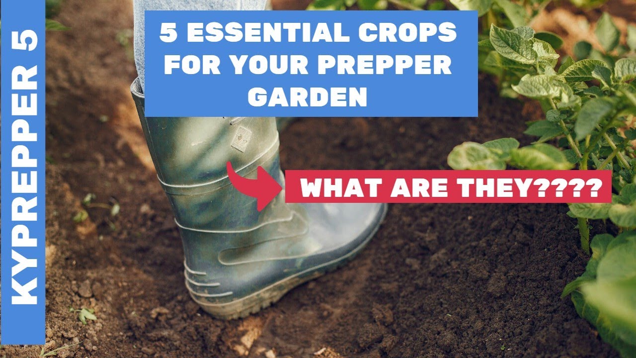5 Essential Crops for your Prepper Garden - YouTube