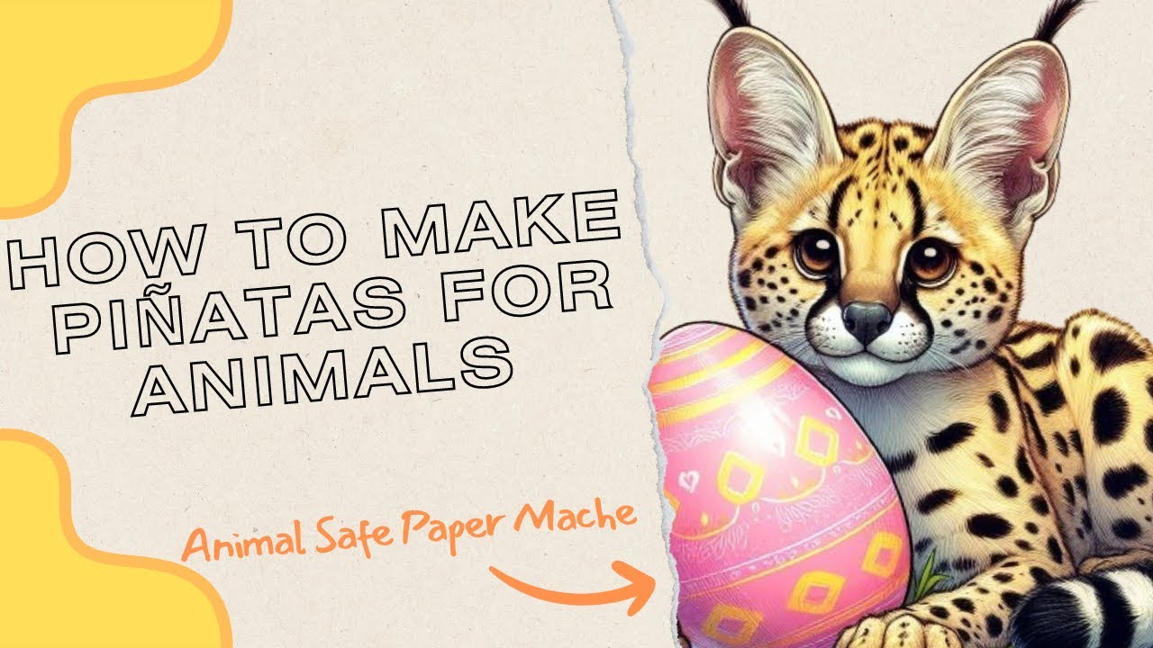 Making Pinatas for Animals! - YouTube