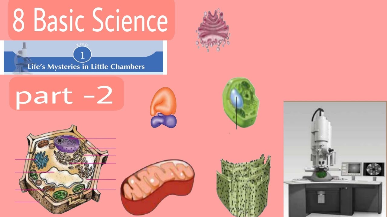 8th Basic Science Chapter 1 Part 2 8thbasicscience 8th Basicscience 7610