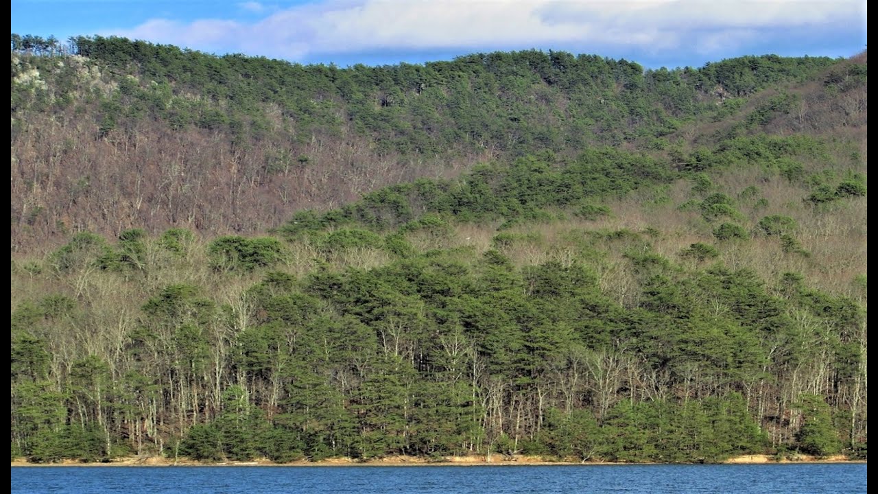 Carvins Cove Ultimate Guide & Tour - YouTube