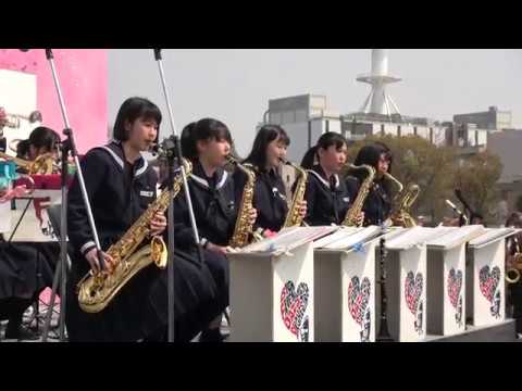 4K『Vine Street Rumble』（新曲）第33回ひめじ ぐるめらんど 1stステージ - YouTube