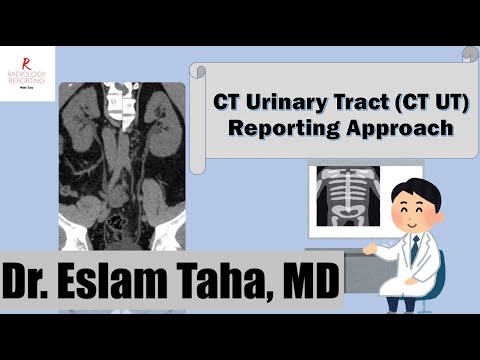 1. CT urinary tract (CT UT) reporting approach - YouTube