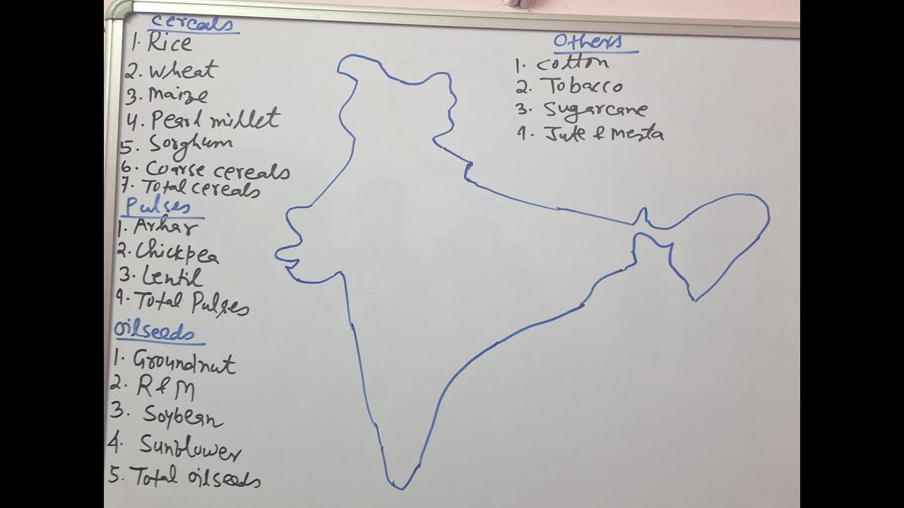 Crop Distribution in India and Leading State - YouTube