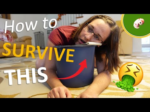 Survive Morning Sickness While Pregnant | Week 7
