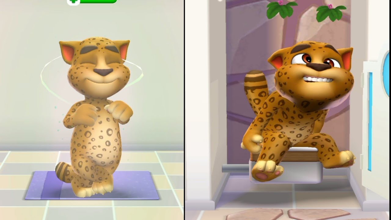 Talking Tom 2 the Happy birthday video talking Tom 2 the gift 🎁 video ...