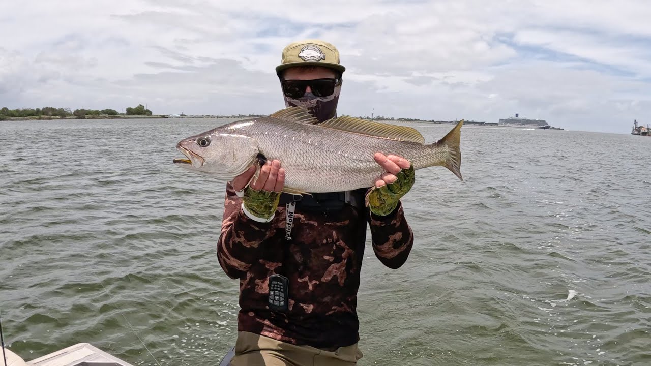 Hopping Soft Plastics over Deep Reef in the Brisbane River - It's Easy ...